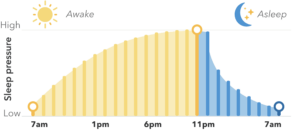 Deep Sleep Genetics: How it Works - 23andMe